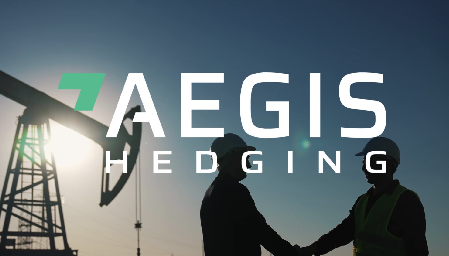 AEGIS Hedging | Case Studies