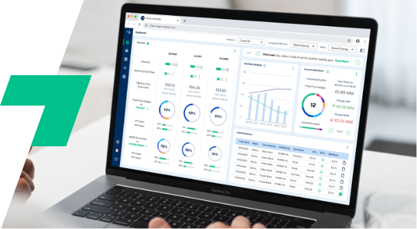 Energy Oil and Gas Exploration Production - AEGIS Hedging